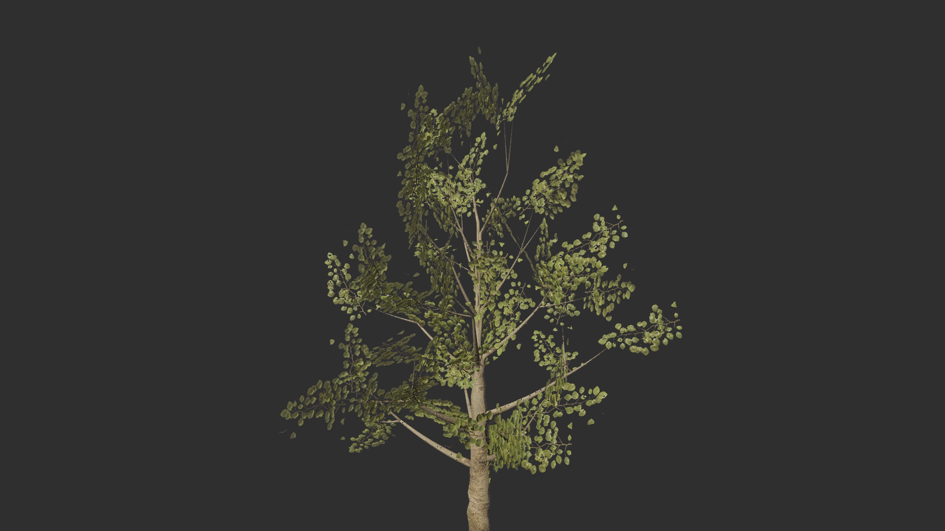 Procedural Tree Generator